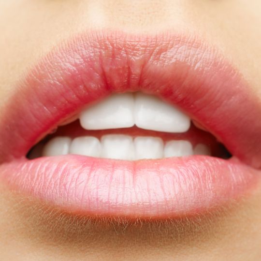Lips: What Do They Look Like? How Do They Work? – Preventive Measures 101